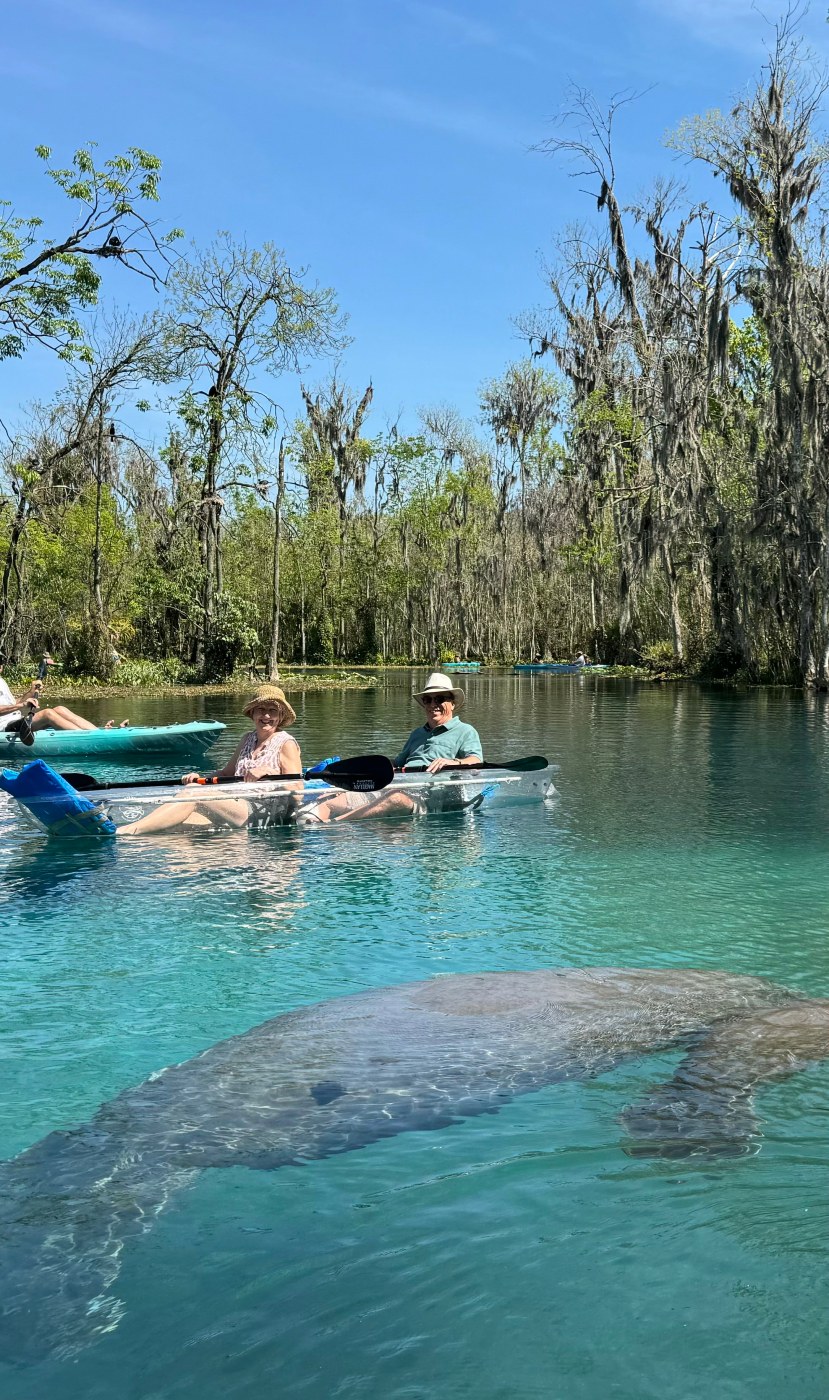 About Florida Springs Kayaking | Kayaking with Sassy